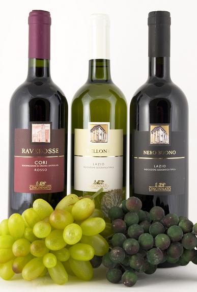 Understanding Italian Wine Labels Understanding Italian Wine Labels